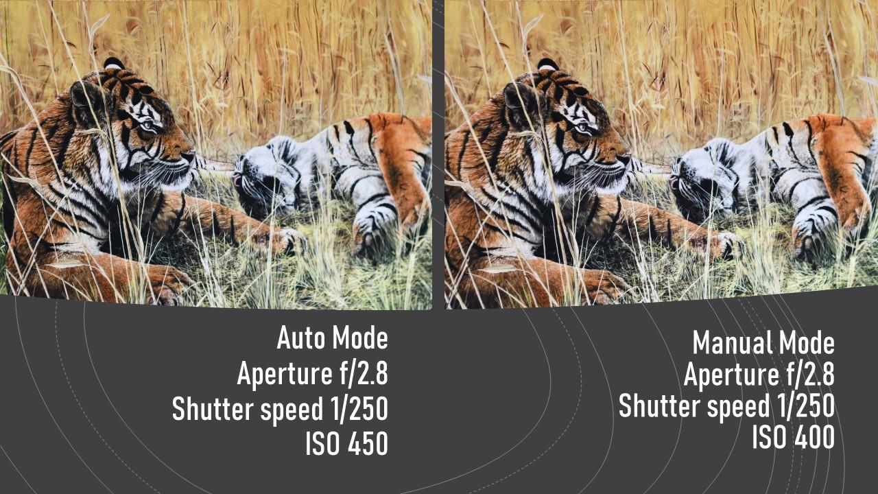 The New Photographer's Guide: Camera Modes and Settings | Sheila ...
