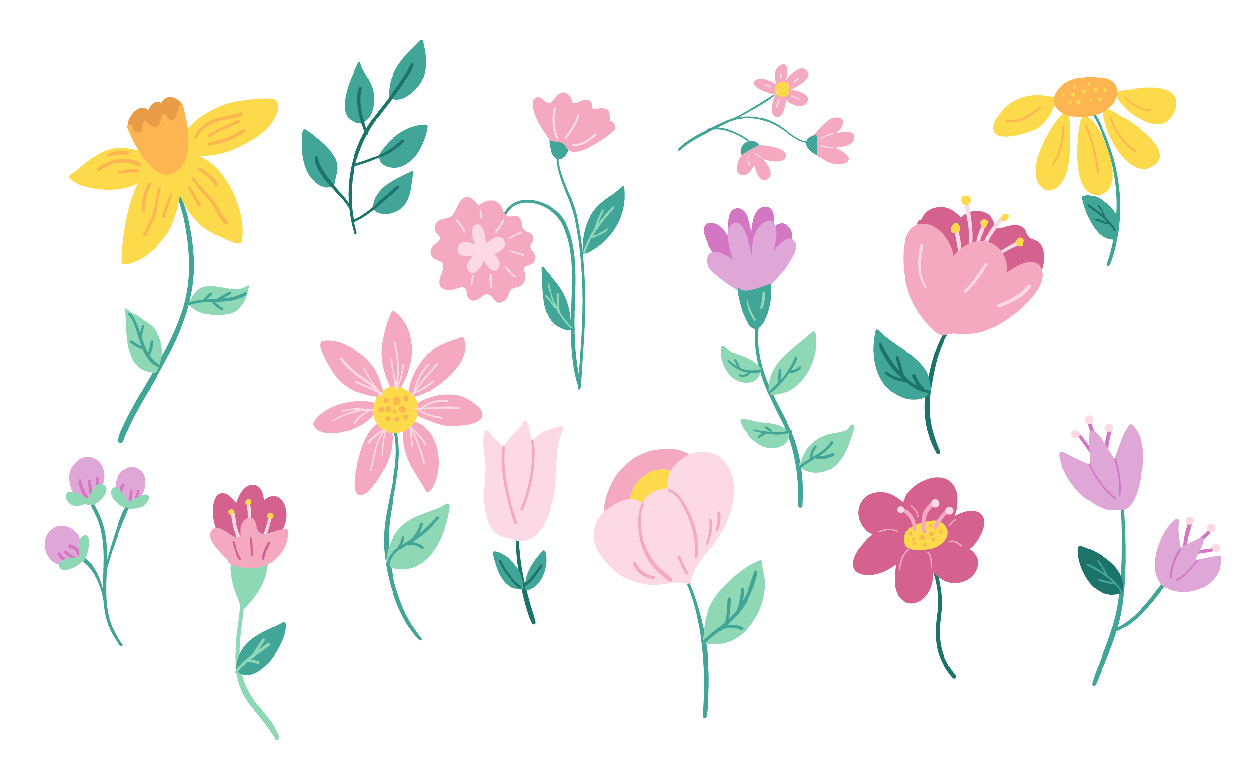 Drawing Vector Flowers Illustrating Simple Florals In Adobe Draw On 