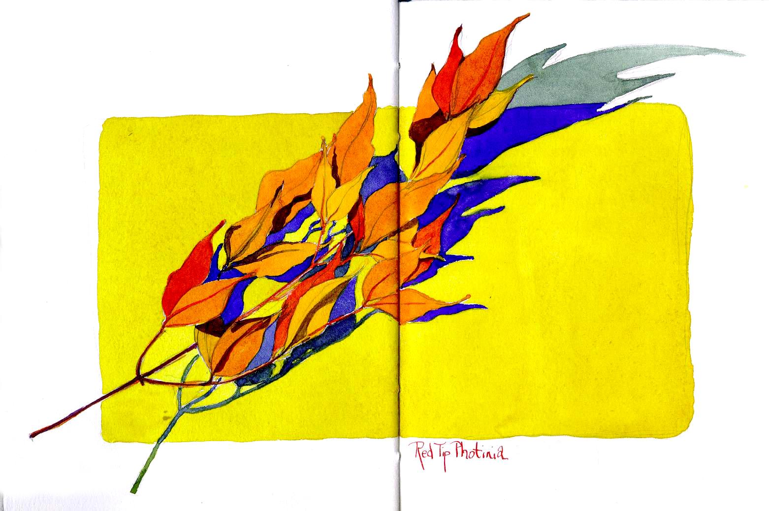 Cómo pintar por valor de color - parte tres: resultados extraordinarios ...