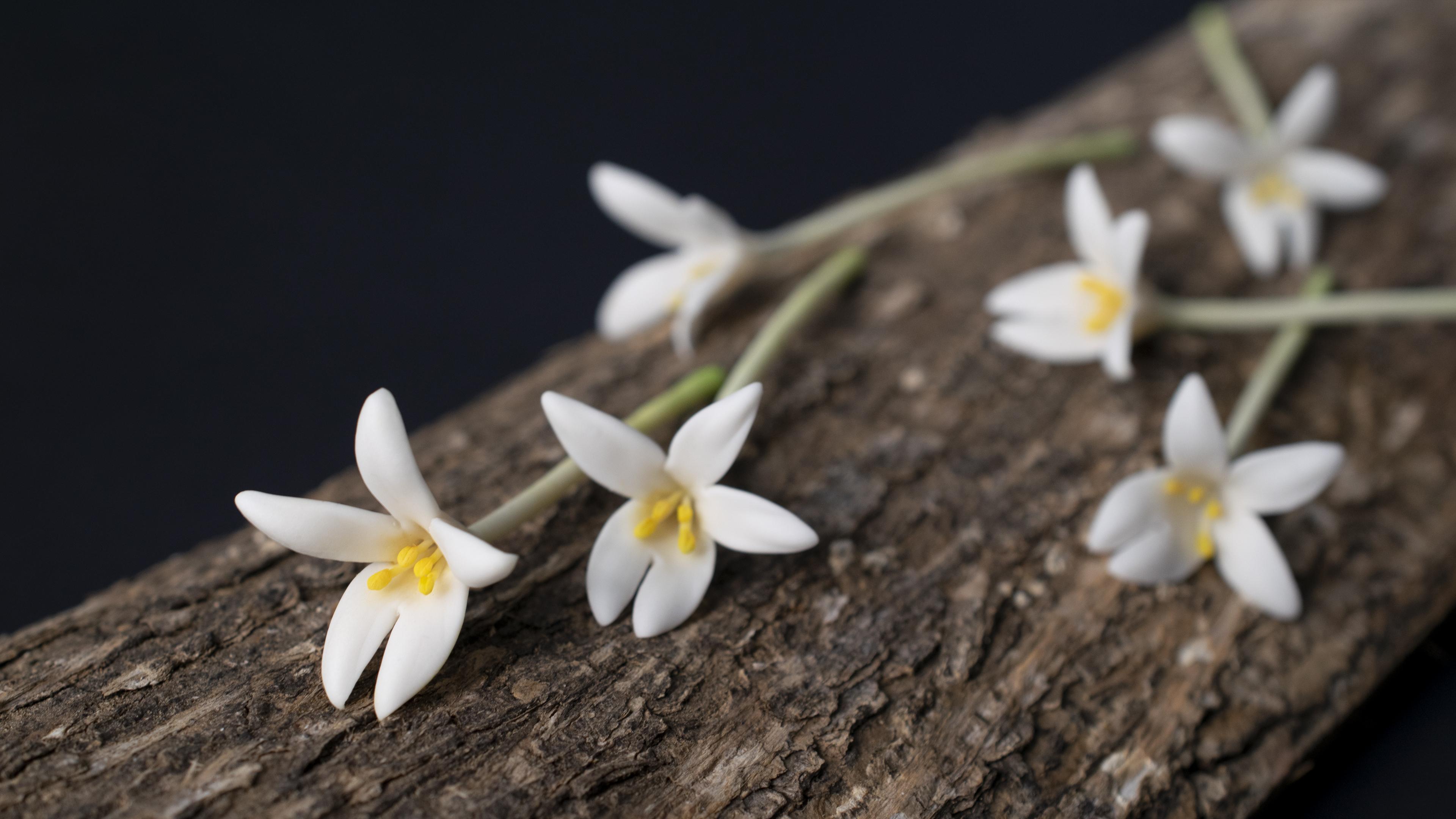 Flores de arcilla: hacer flores de arcilla realista con arcilla seca al ...