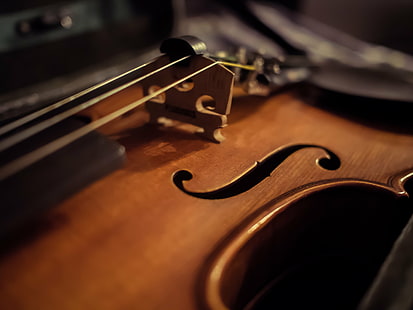 Intermediate violin-viola course | Mitch Belei | Skillshare