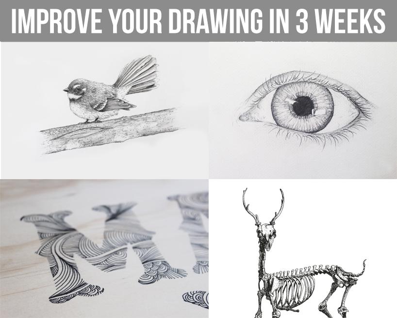 Improve your drawing in 3 weeks - Skillshare
