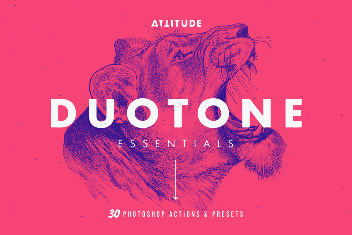 Duotone Essentials: Photoshop Actions & Presets - Skillshare