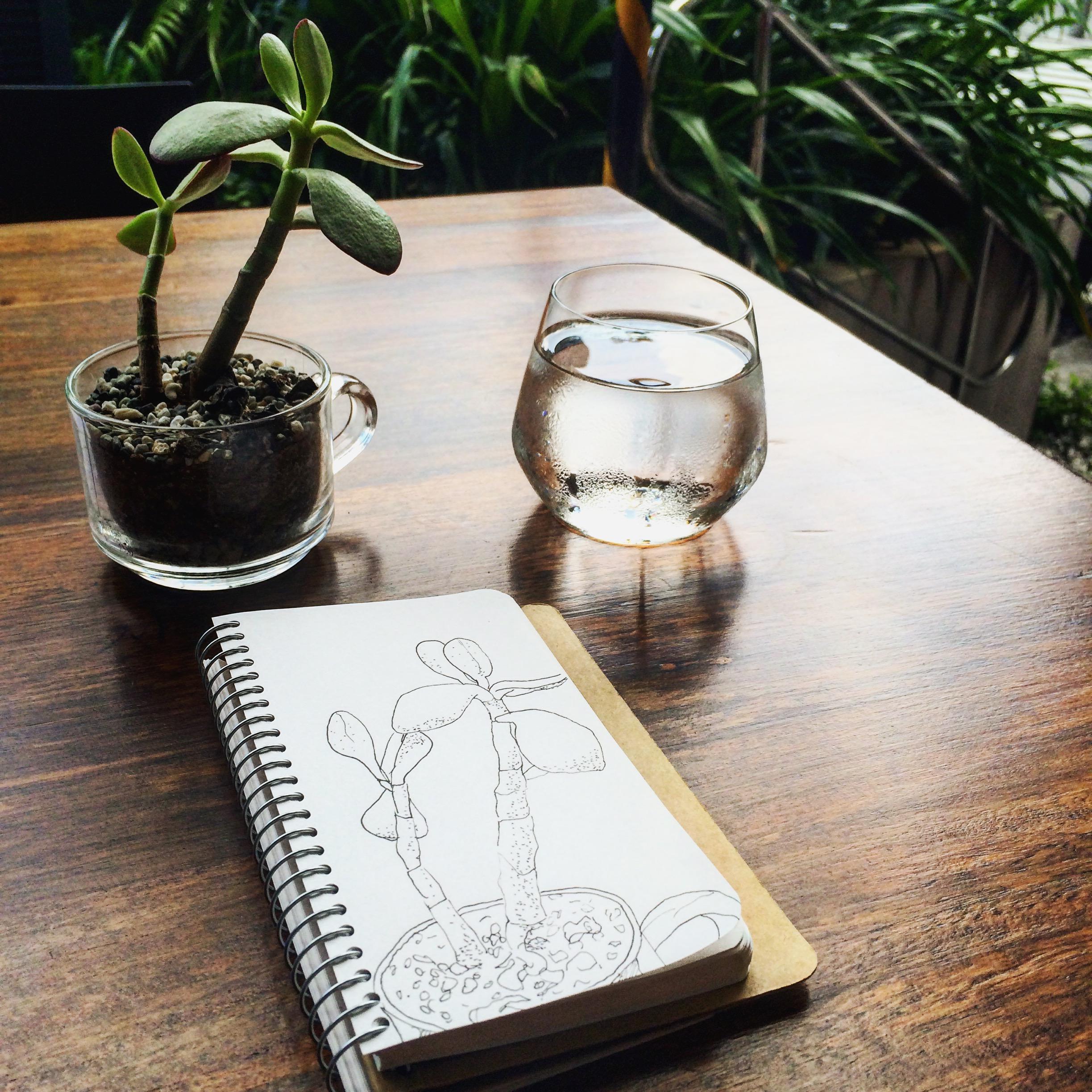 Sketch Your Life: One Month of Daily Sketching and Painting - Skillshare