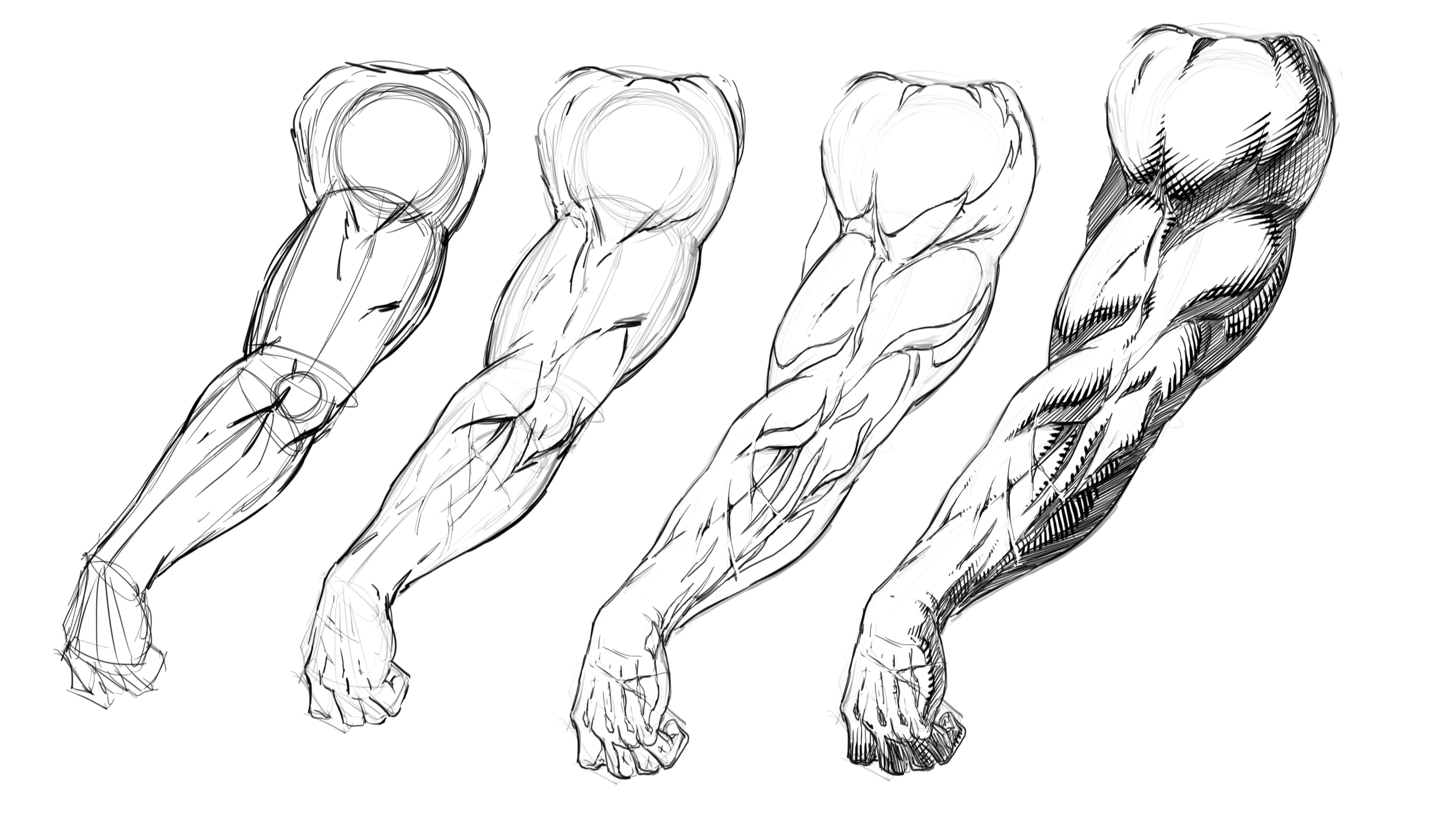 How To Draw And Shade Comic Book Style Arms And Anatomy Robert 