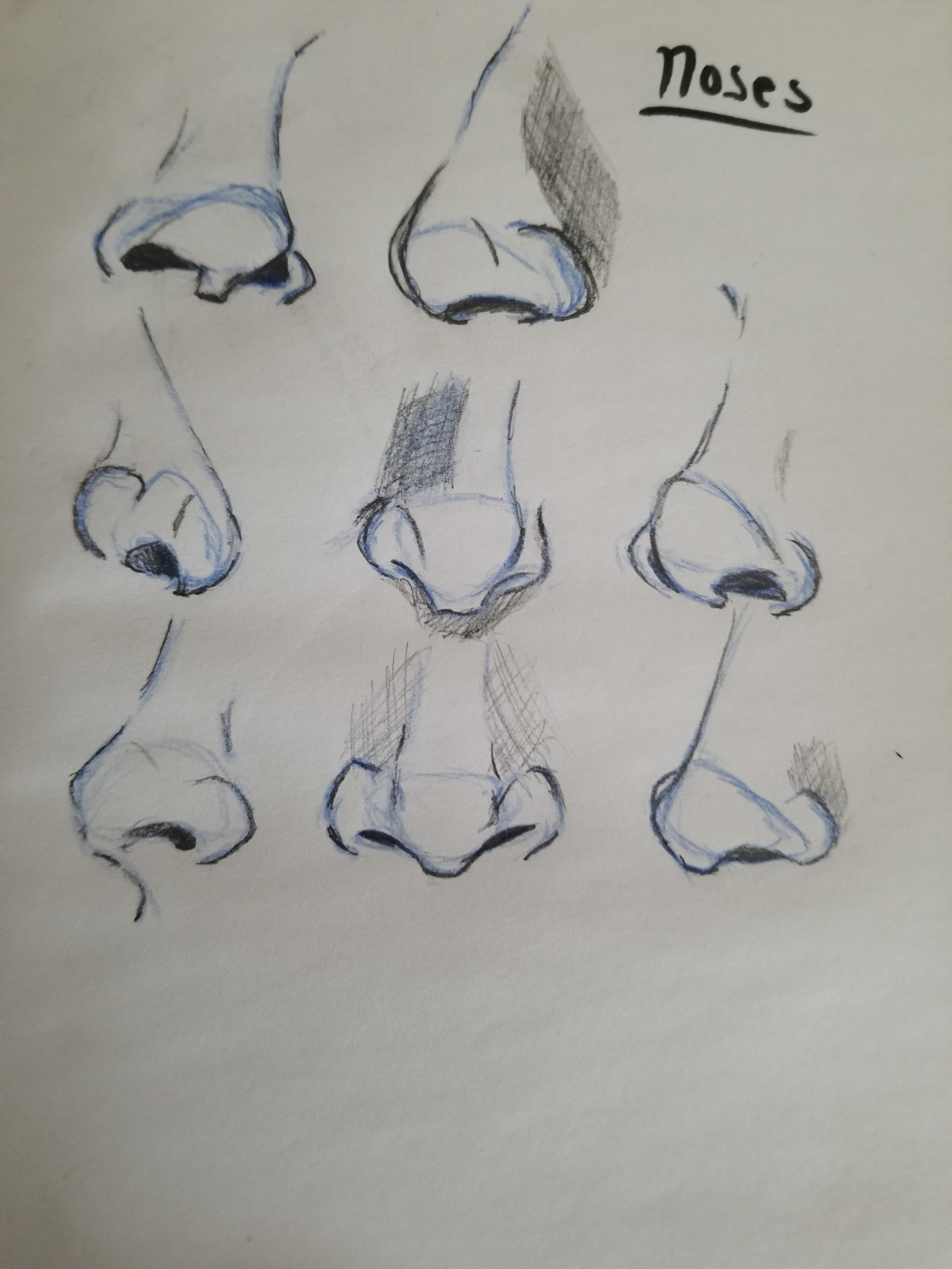 Drawing Noses