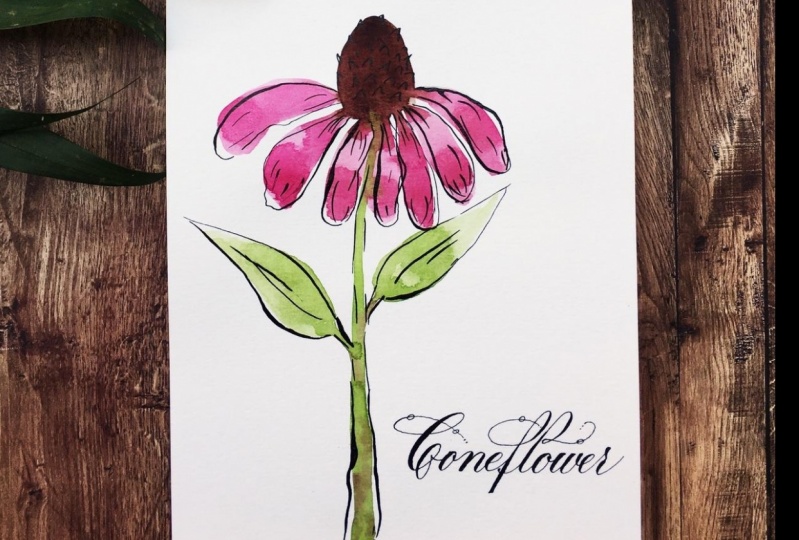 How to paint coneflowers using watercolor | Riana Samaroo | Skillshare