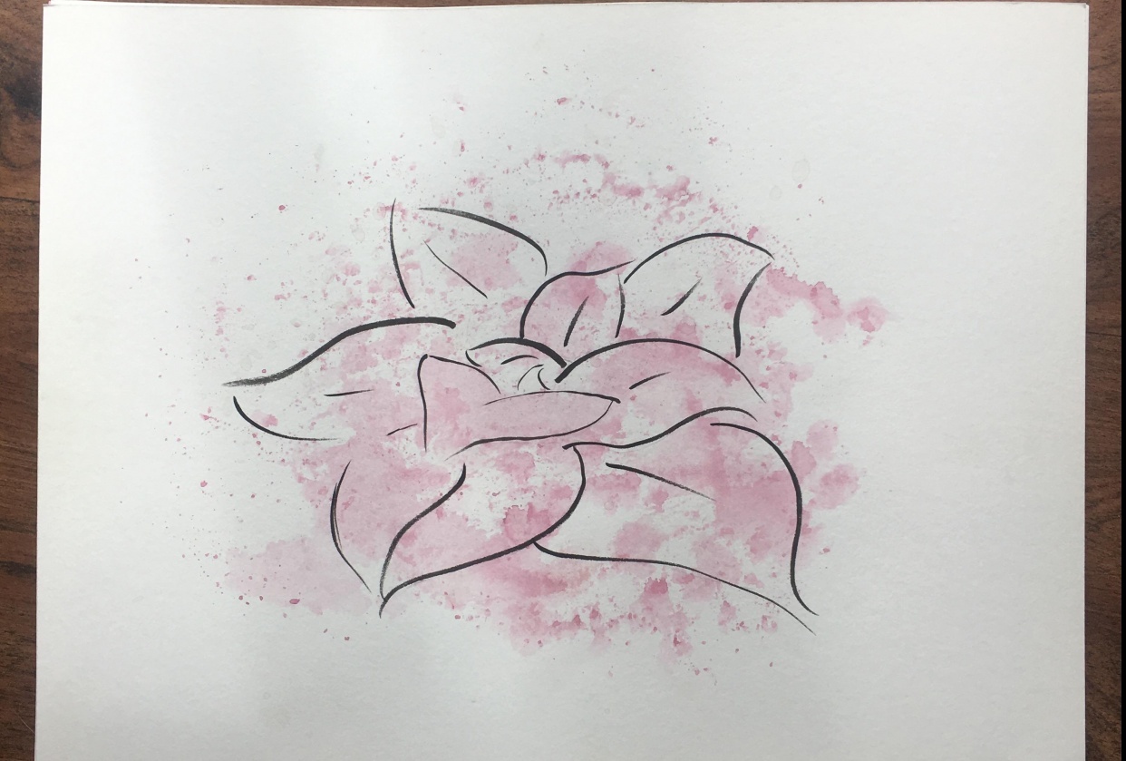 Smeraldo Flower Drawing | Best Flower Site
