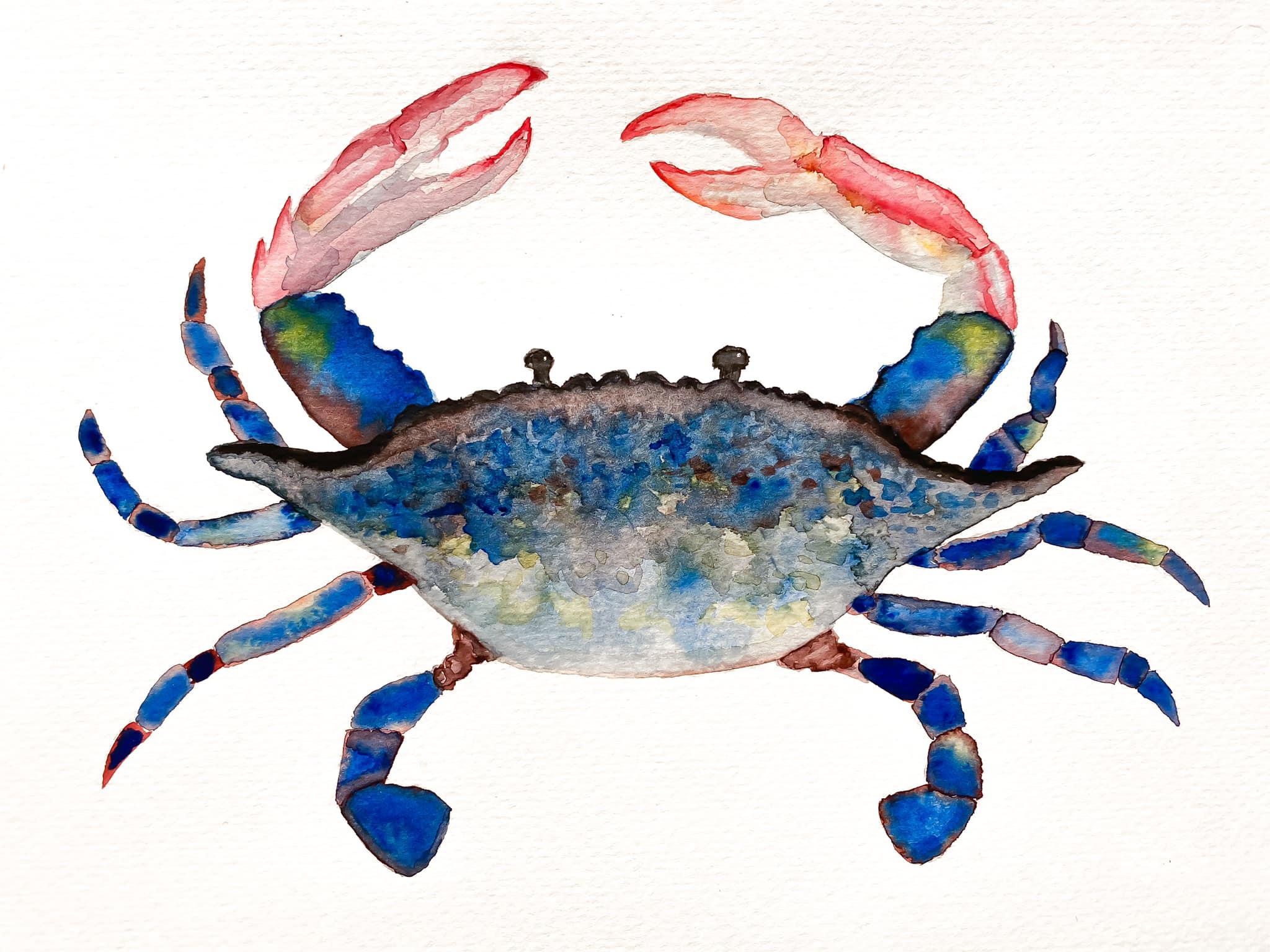 Blue Crab Outline