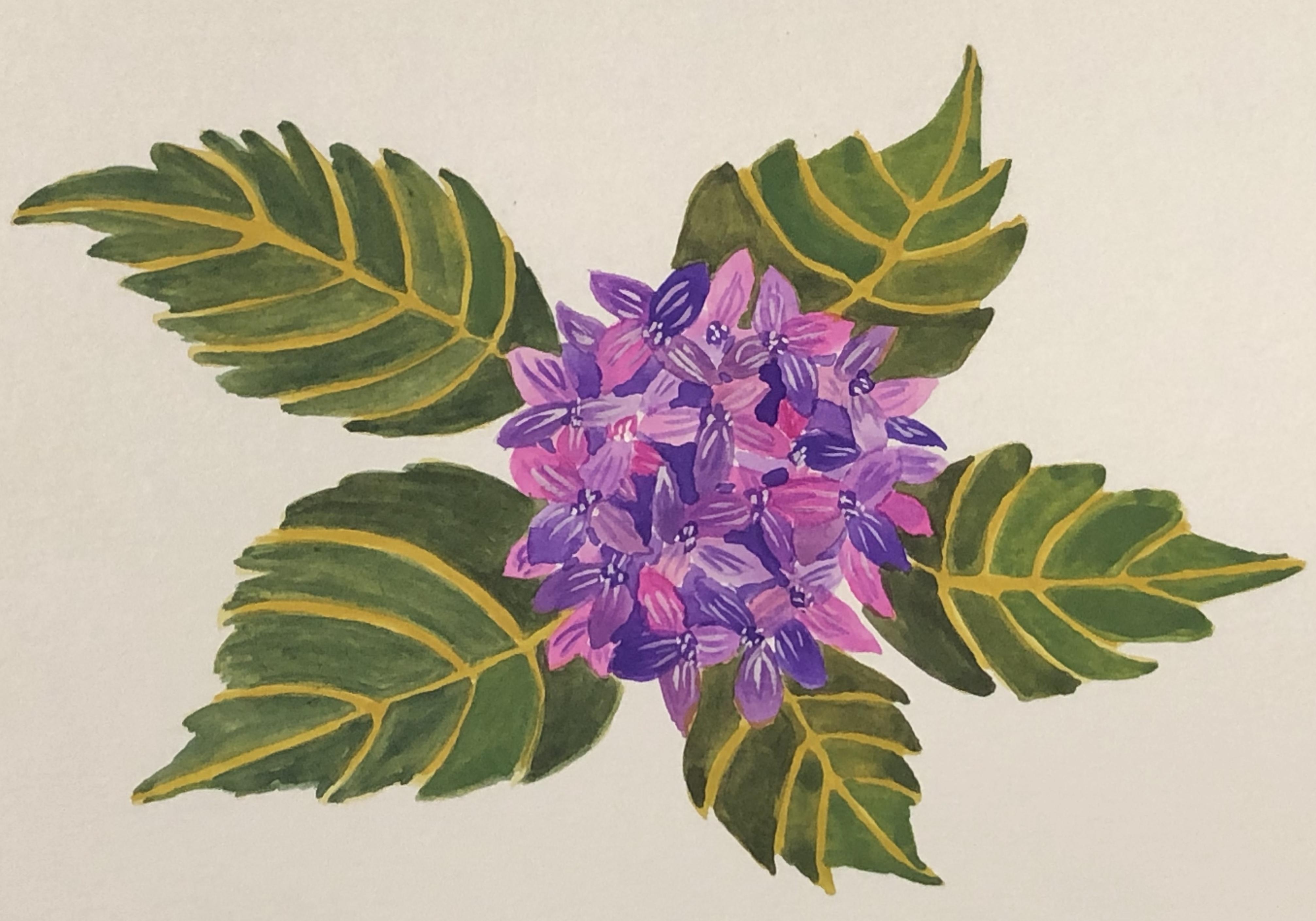 Purple Hydrangeas Drawing