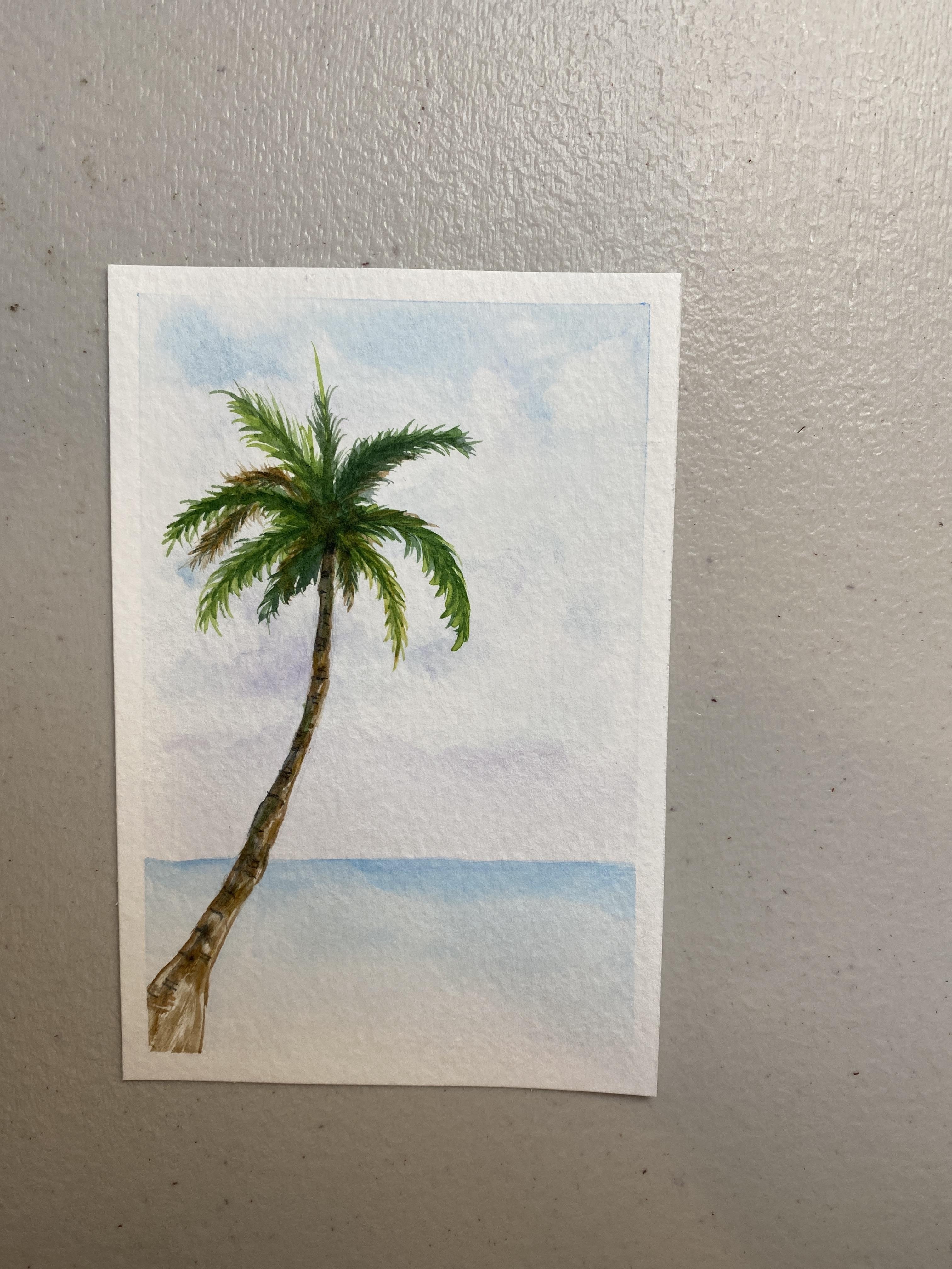 Coconut Tree Drawing Lessons