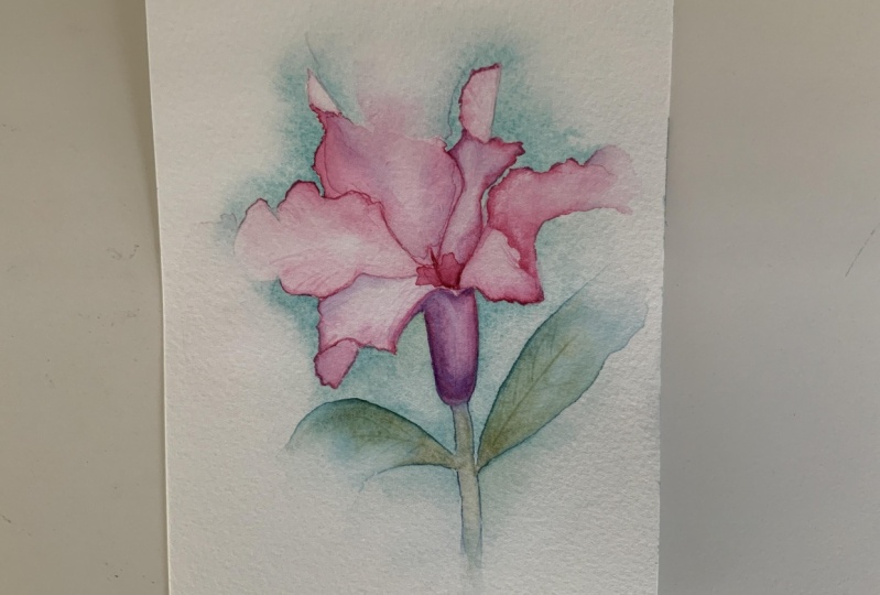Watercolor Rose: Using Lost Edges to Create Form and Depth | Louise De ...