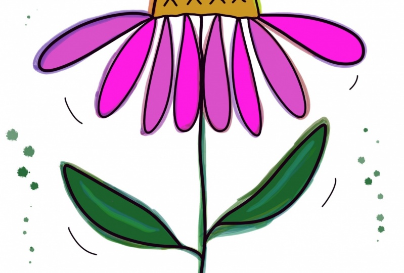 Draw a Wildflower In Procreate: Let's Draw a Coneflower! | Allyson ...