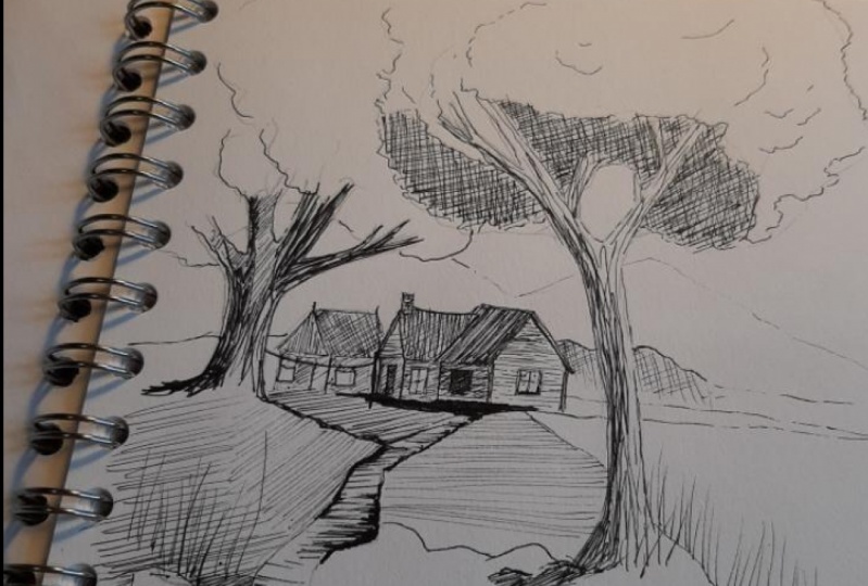 Pen Drawing for Beginners: Permanency, Texture and Composition | Sam ...