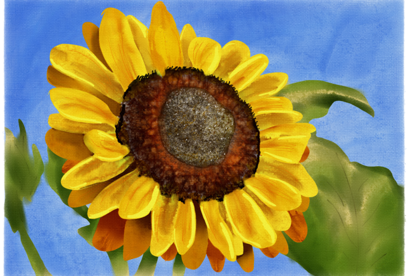 Digital Watercolor Painting: Learn to Paint A Sunflower Using Rebelle ...