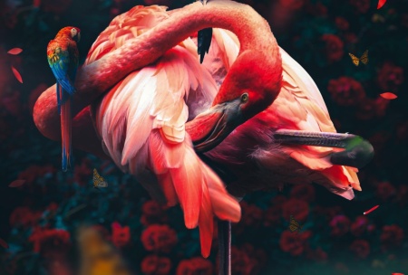 Fine Art Funky Flamingo in Adobe Photoshop Masterclass | Zenja Gammer ...