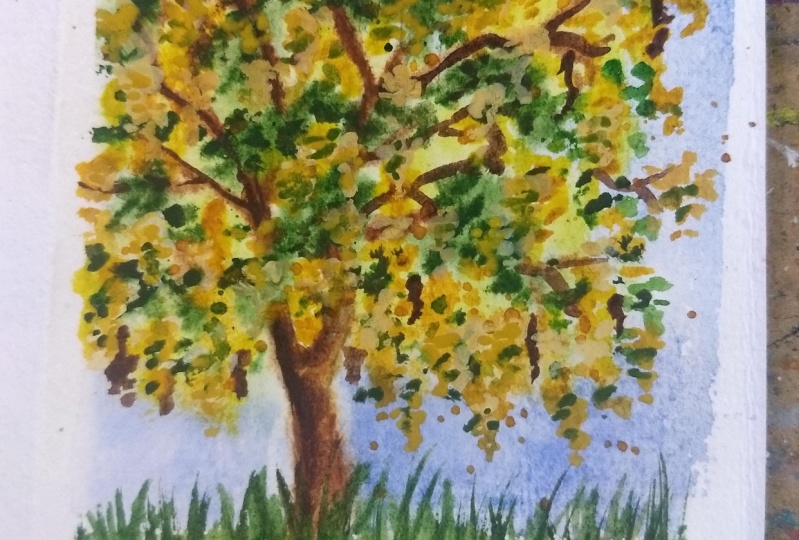 Watercolor Golden Laburnum tree, Amaltas, Cassia Fistula, Golden Chain ...