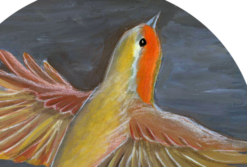 Déjate llevar: pinta aves expresivas en gouache | Alanna Cartier ...