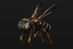 2D Photo Into 3D Animation: Blender 3.0 | PIXXO 3D | Skillshare