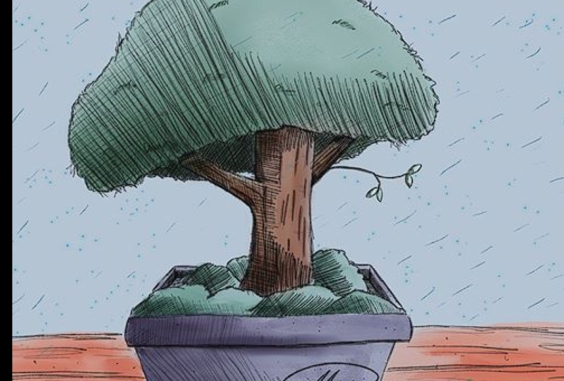 Drawing Bonsai Trees in Procreate Part 1 | Benjamin A | Skillshare