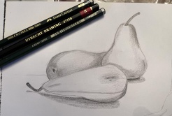 Ultimate Beginner to Advanced Pencil Drawing and Shading | Ava Moradi ...