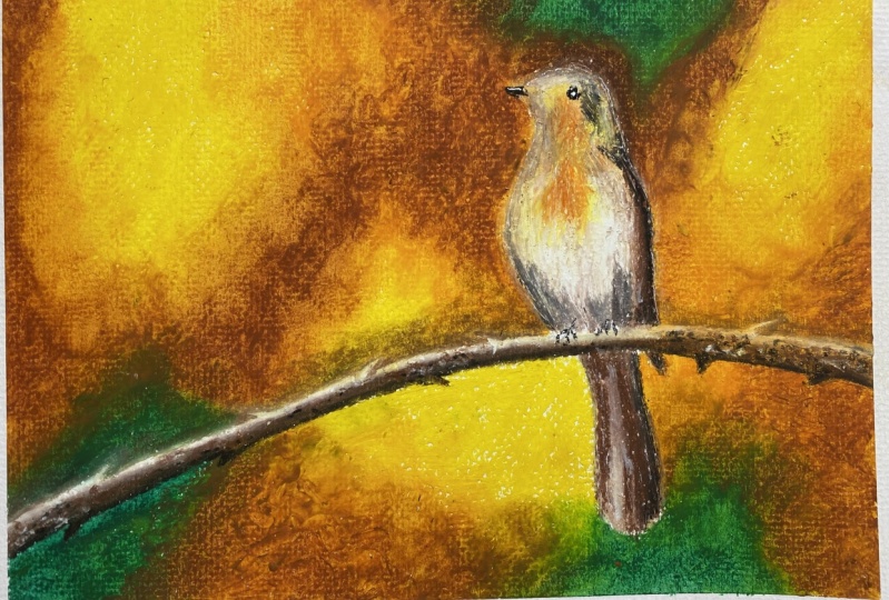 Layering Oil Pastels 101 : Paint a Realistic Bird with Autumn Colors ...