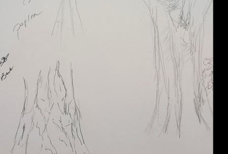 Sketching Fundamentals - Learn Basic Drawing Techniques for Nature ...