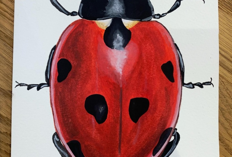 Painting Realistic Ladybirds / Ladybugs in Watercolour and Gouache - a ...