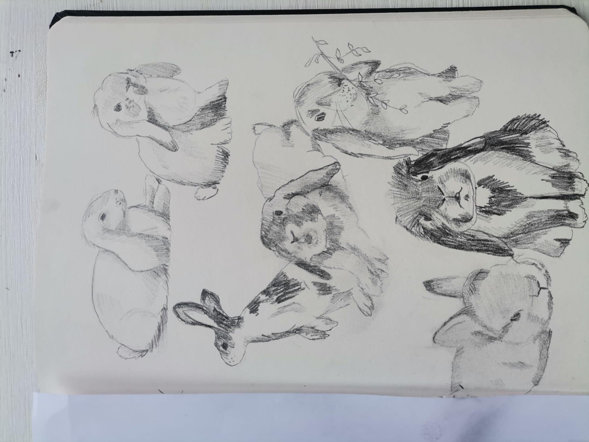 Pencil Drawings Of Creatures