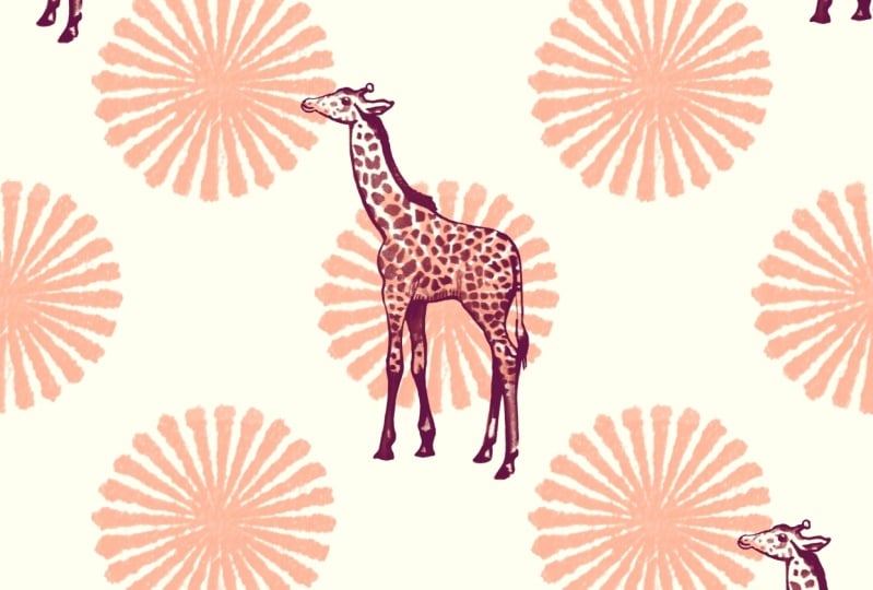 3 Ways to Create a Half-Drop Pattern in Procreate | Maja Faber | Skillshare