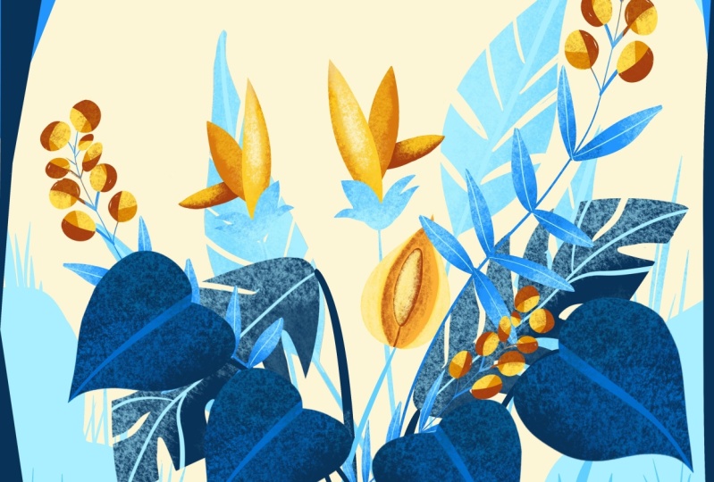 Cómo diseñar una composición botánica inspirada en la naturaleza ...