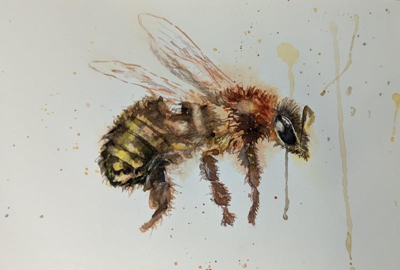 How to Paint a Bee in Watercolor: Fun, Easy Step-by-Step Painting using ...