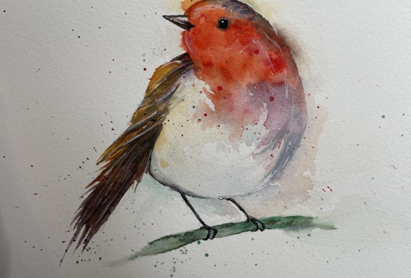 Learn to Paint Watercolor Birds: A Step-by-Step Painting of a Robin ...