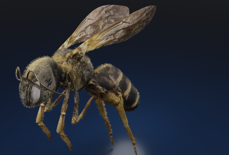 2D Photo Into 3D Animation: Blender 3. 0 | PIXXO 3D | Skillshare