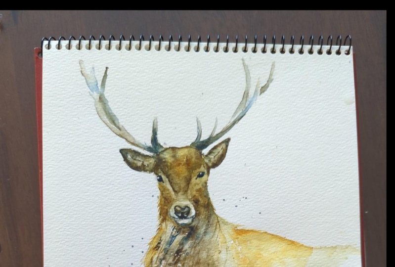 Learn to Paint a Stag in Watercolor: Step-by-Step Painting Using Easy ...