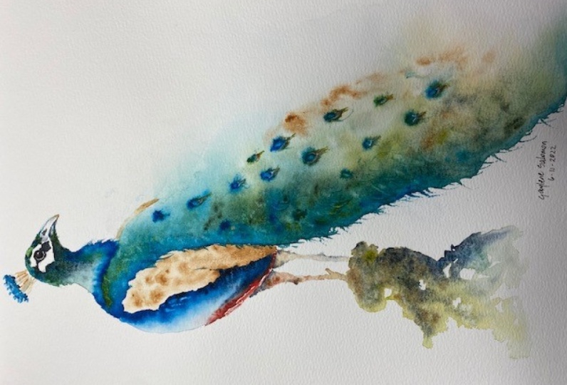 Peacock: A Free-Flow Watercolour Masterclass with Jane Davies | Jane ...