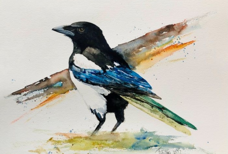 Watercolour Magpie | How to Paint a Bird in Simple and Confident Steps ...