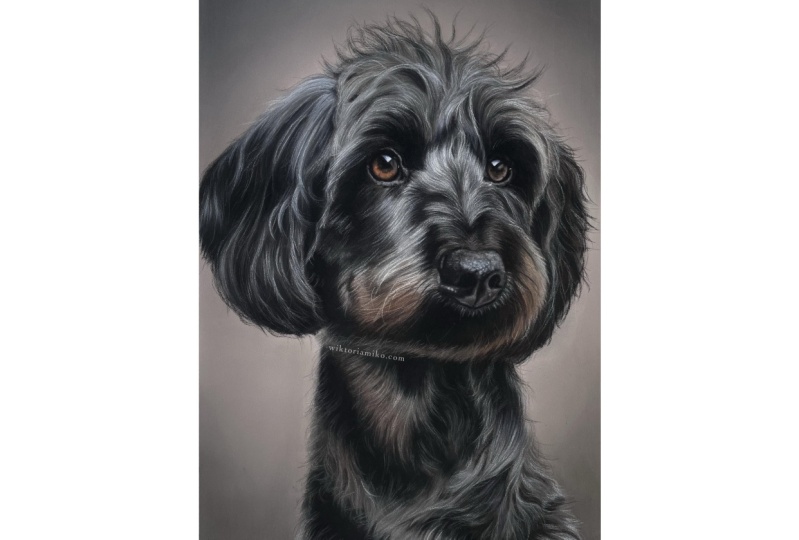 how to draw black fur with pastels