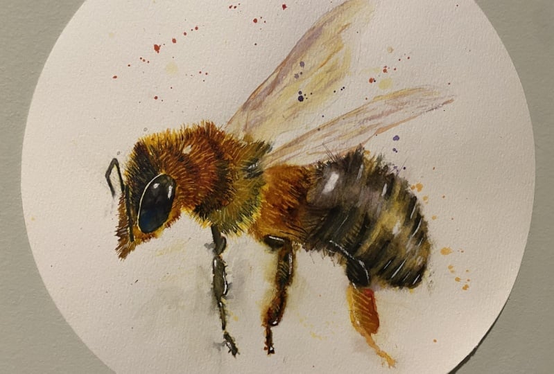 How to Paint a Bee in Watercolor: Fun, Easy Step-by-Step Painting using ...