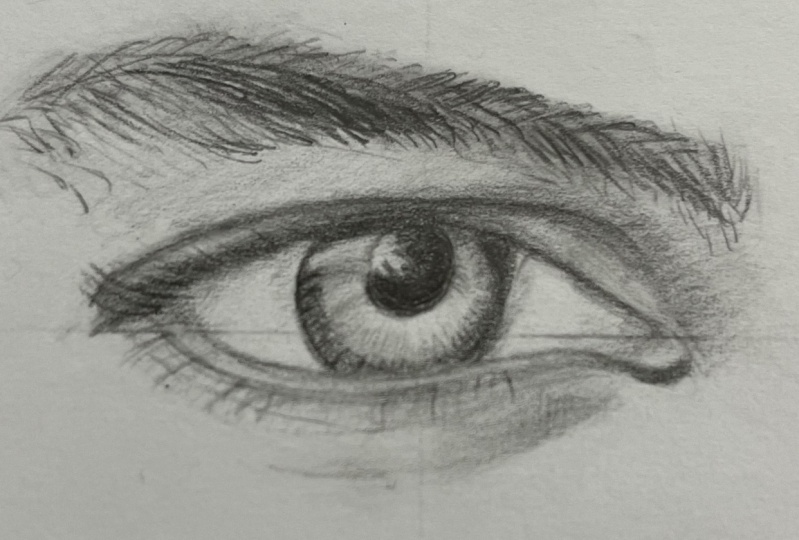 Introduction to Portrait Drawing with Pencil | Ava Moradi | Skillshare