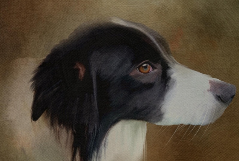 Create a Fine Art Dog Portrait with a Photo in Procreate | Jai Johnson ...
