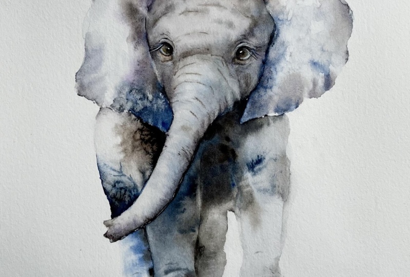Elephant: A Free-Flow Watercolour Masterclass with Jane Davies | Jane ...