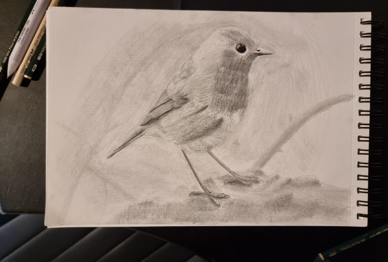 How To Draw A Robin: Draw Along Tutorial | Emily Armstrong | Skillshare