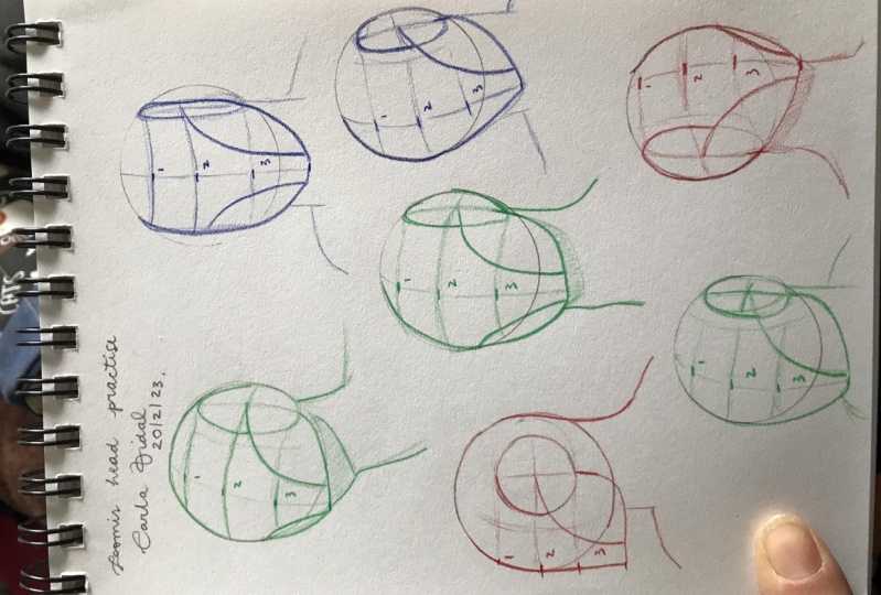 how-to-easily-draw-heads-understanding-the-loomis-method-messer