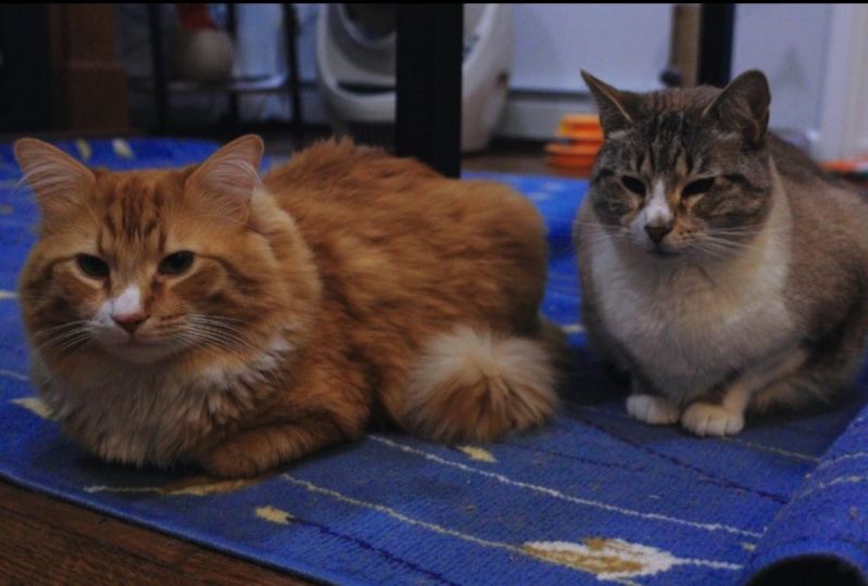 FRAME RATES for Video: How to Master Slow Motion, Speed Ramping and ...