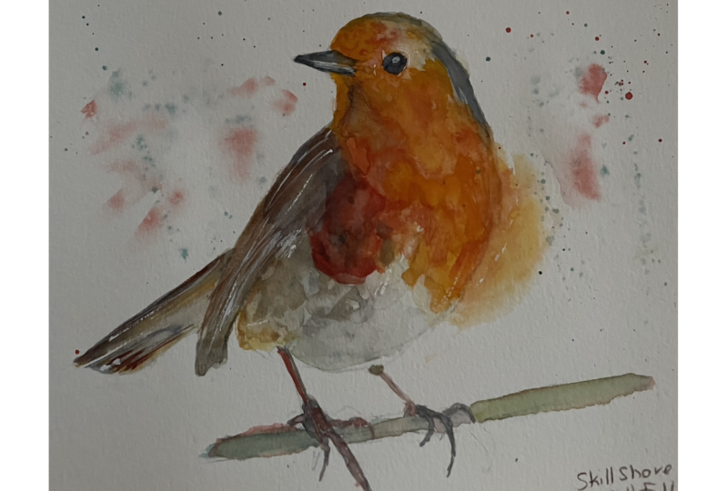 Learn to Paint Watercolor Birds: A Step-by-Step Painting of a Robin ...