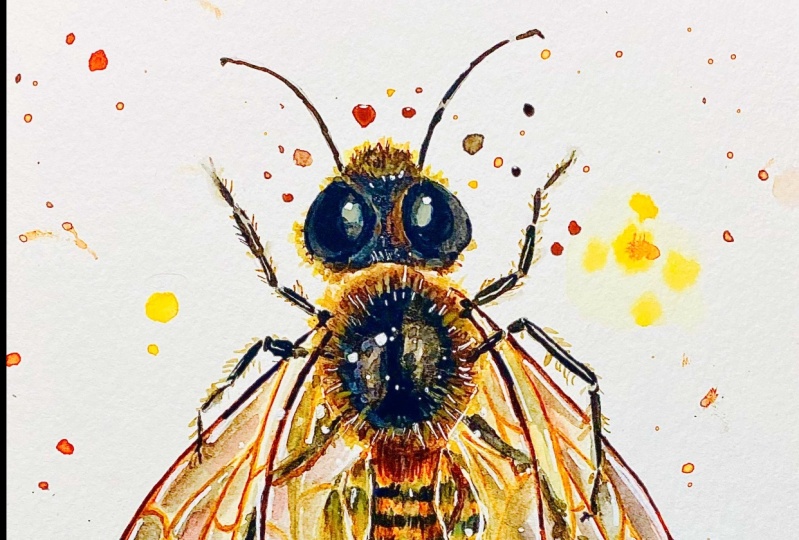 Step by Step Guide to Paint Realistic Honeybee with Watercolors ...