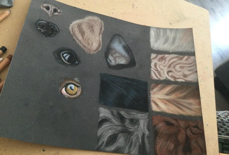 ULTIMATE GUIDE FOR DOG PORTRAITS IN SOFT PASTELS - 6 FUR TEXTURES, EYES ...