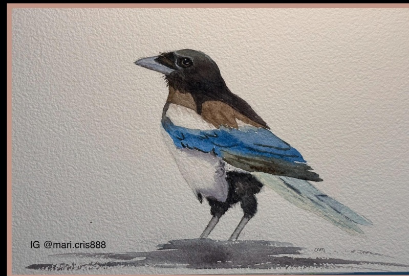 Watercolour Magpie | How to Paint a Bird in Simple and Confident Steps ...