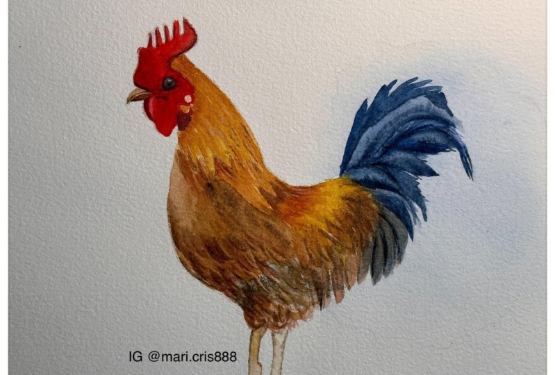 Painting A Watercolor Rooster / Cockerel Step By Step: A Fun and ...
